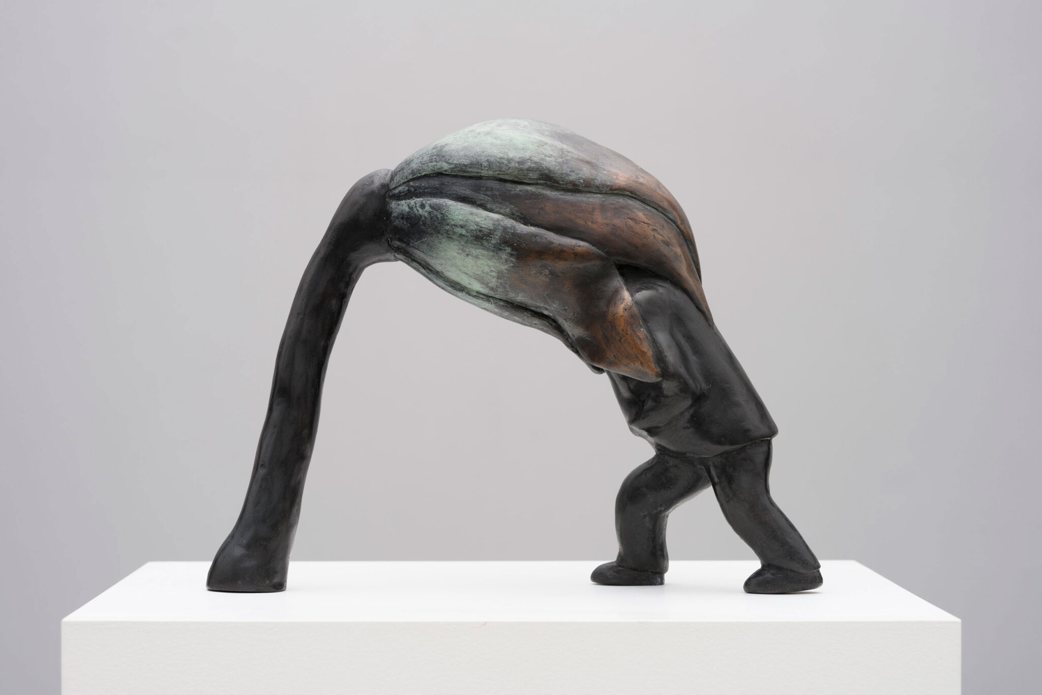 Home - ZENO X GALLERY